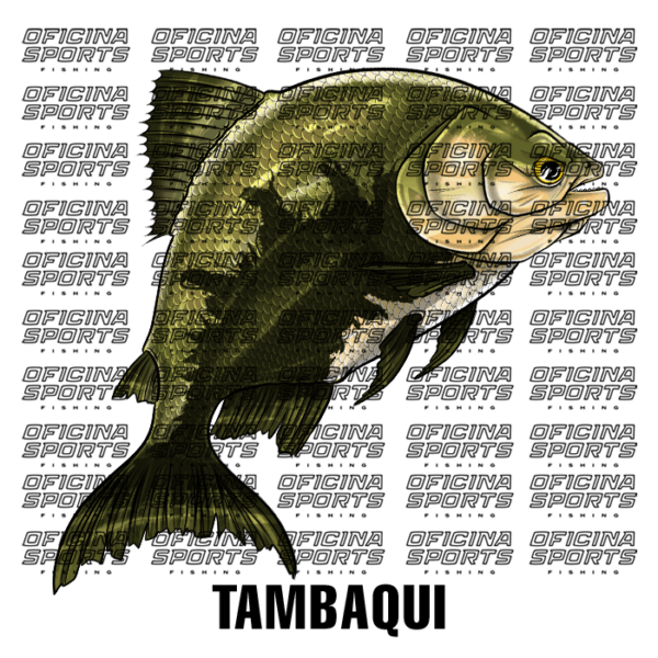 TAMBAQUI-4 – Oficina do Abadá