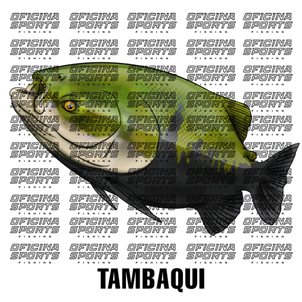 TAMBAQUI – Oficina do Abadá